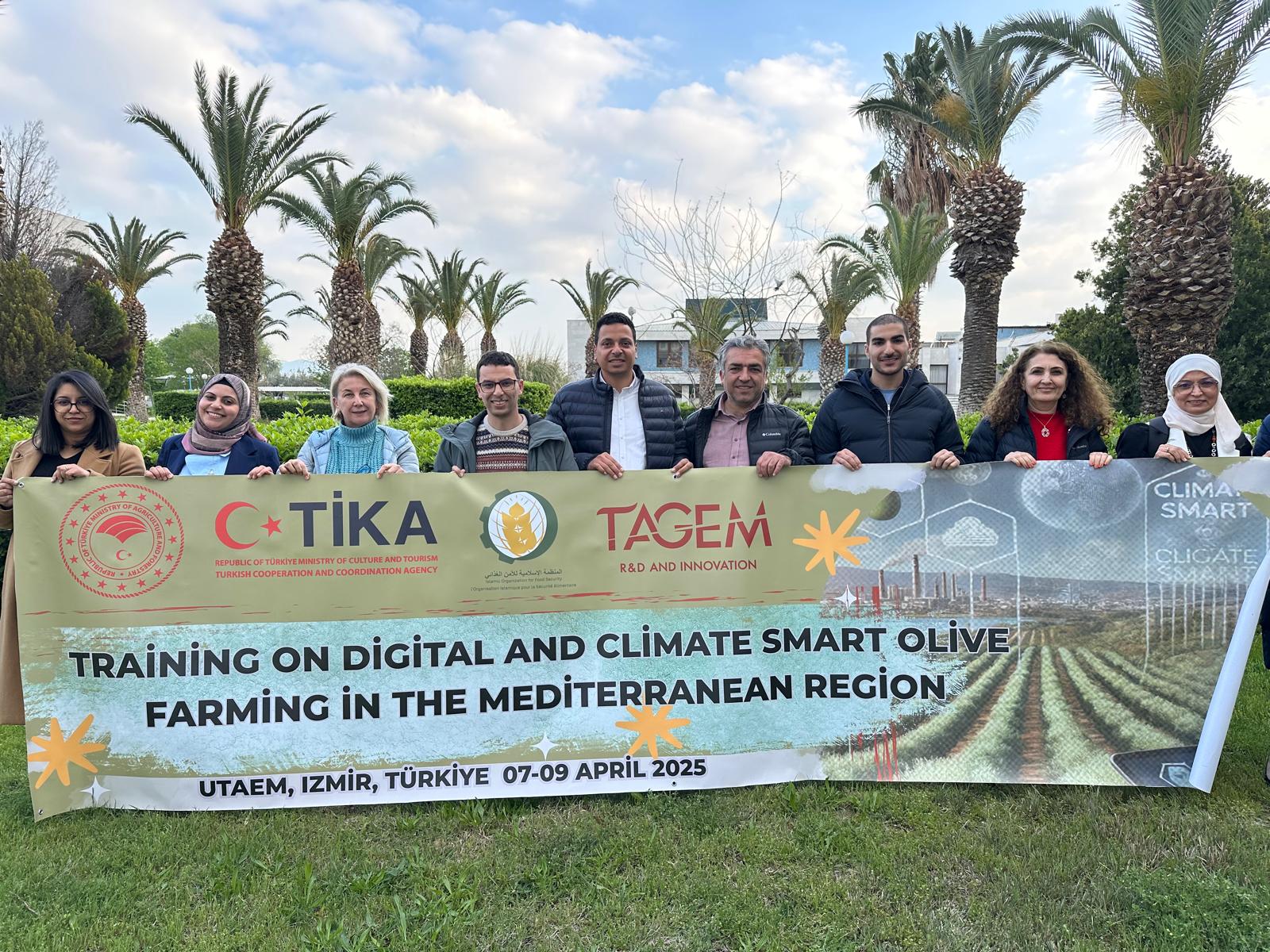 Empowering Mediterranean Olive Farming Through Digital Innovation and ...